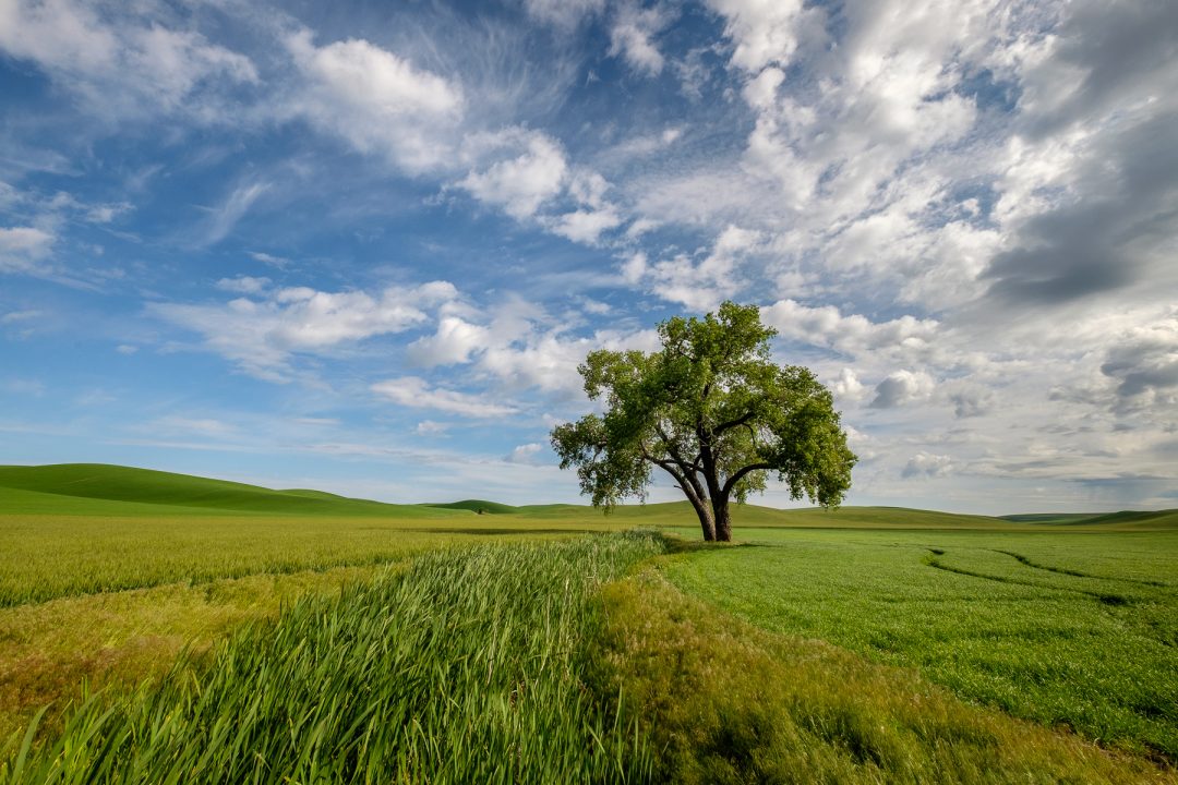 Grand Landscapes | john barclay photography